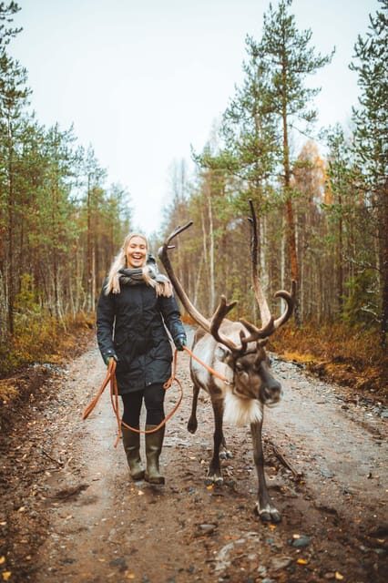 Walk with Reindeer - FAQ