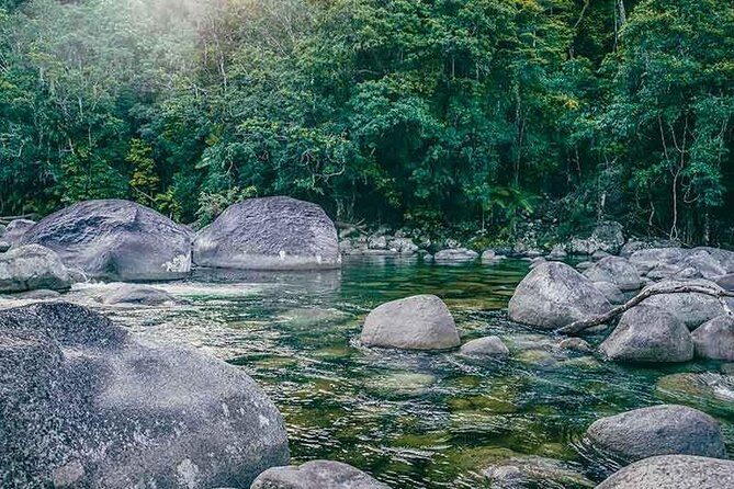Walkabout Cultural Adventures - Ngana Julaymba Dungay Half Day - The Richness of the Daintree and Kuku Yalanji Culture