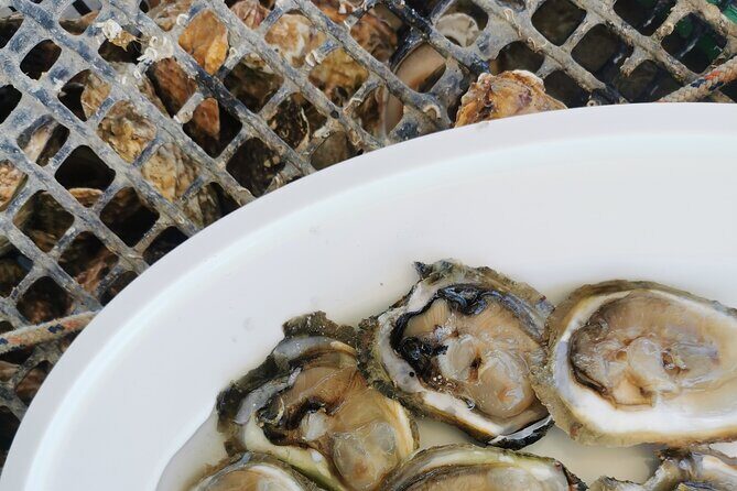 Walking & boat tour - visit Ston Walls and taste shells on farm - Frequently Asked Questions