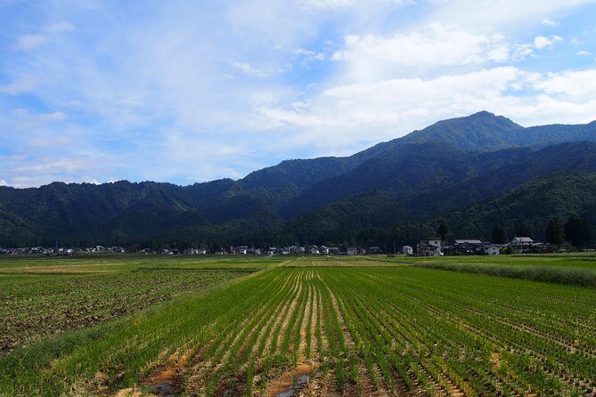 Walking & cycling - Exploring Niigata’s Countryside: What’s in Store