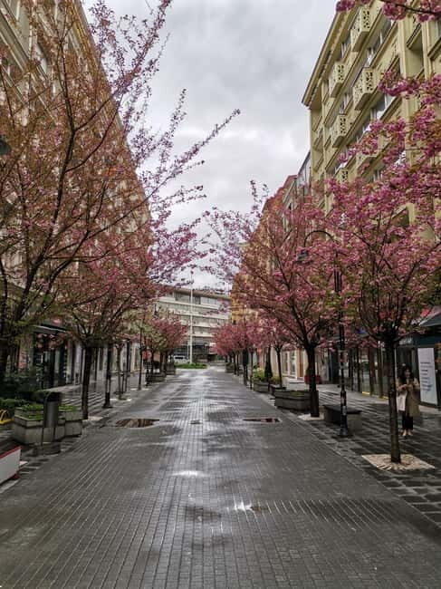 Walking in Skopje - Key Points