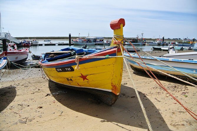 Walking in Tavira: The Venice Of Algarve - Who This Tour Is Best For