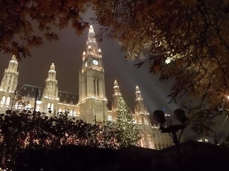 Walking on the historical trail of Viennese Christmas Trees - Real-World Insights from Travelers