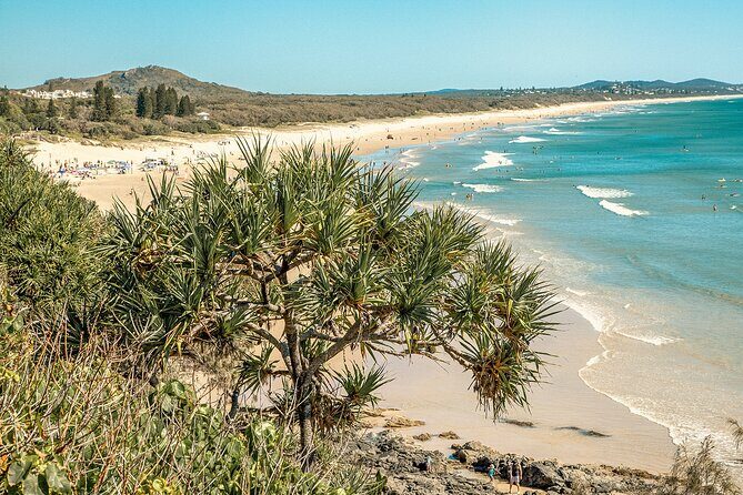 Walking Photography Activity in Coolum Beach - Key Points