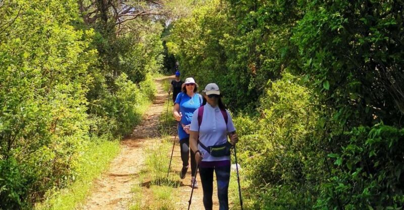 Walking Through Ancient Konavle Villages with a Tasty Finish - An In-Depth Look at the Experience