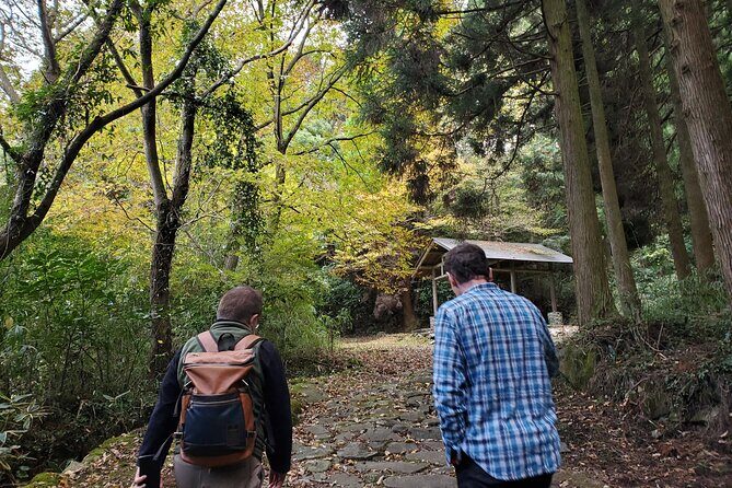 Walking through the Aso Caldera, Historical Walk along the "Bungo Kaido" - What We Love About This Tour