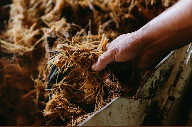 Walking Tour Agave Journey in Versalles - FAQ