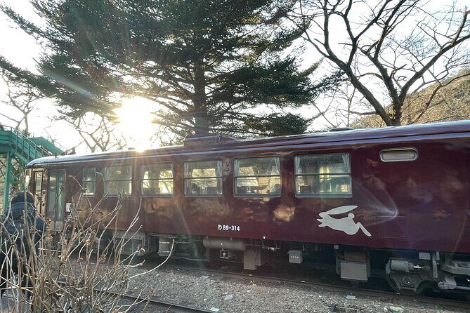 Walking Tour at Akagane Roads in Midori City - Introduction