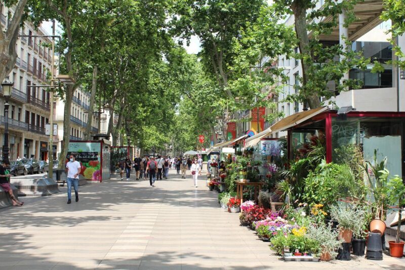 Walking Tour Gothic Quarter and Ramblas+Boat Trip - Authentic Experiences and Heard Opinions
