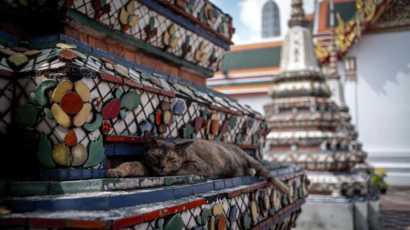 Walking tour Grand Palace, Emerald Buddha and Wat Pho - FAQ
