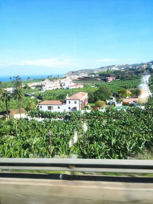 Walking tour in Garachico (1:30 h) - The Sum Up