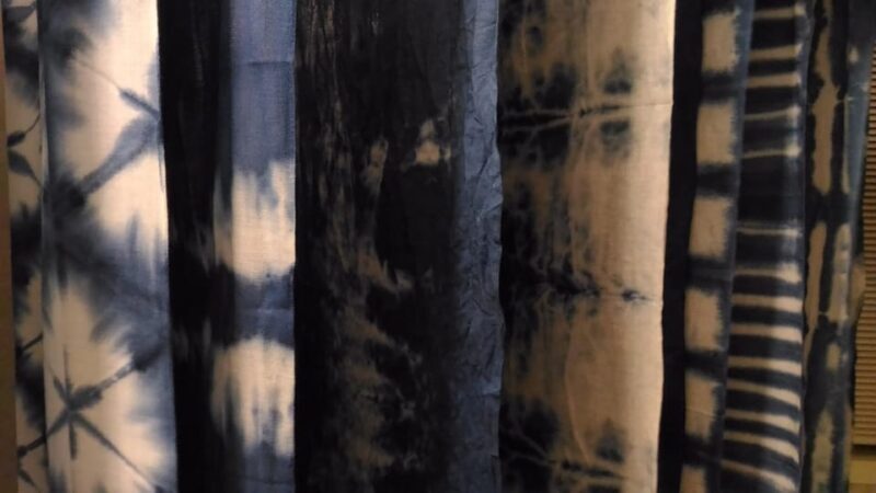 Walking Tour in Himeji : Castle, Garden and Indigo Dyeing - Key Points