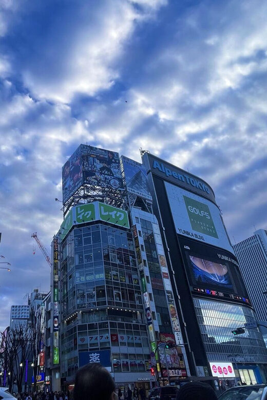 Walking Tour in Shinjuku & Kagurazaka: Tokyo's Hidden Gems - Exploring Tokyo’s Hidden Corners: A Walking Tour in Shinjuku & Kagurazaka