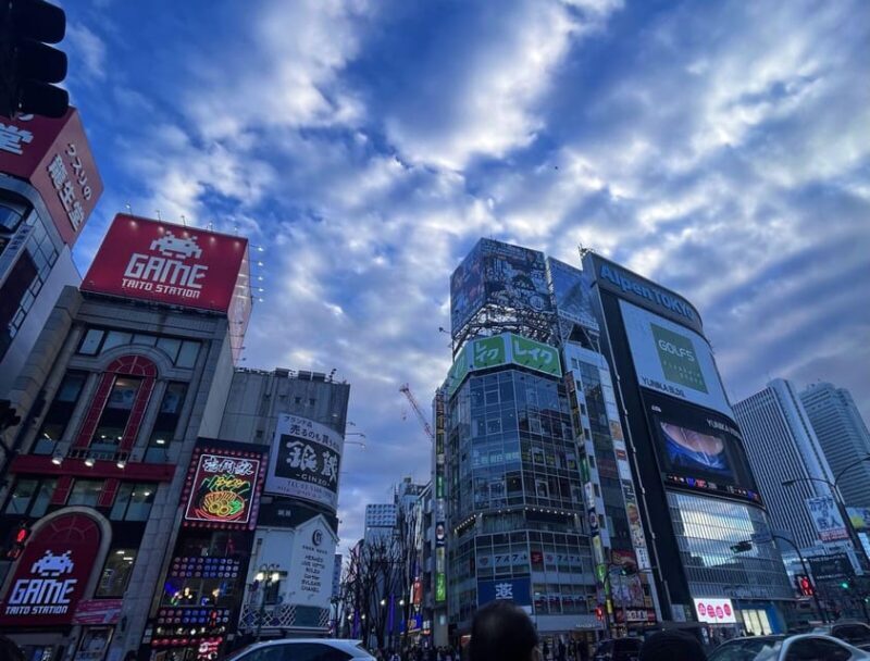 Walking Tour in Shinjuku & Kagurazaka: Tokyo's Hidden Gems - Key Points