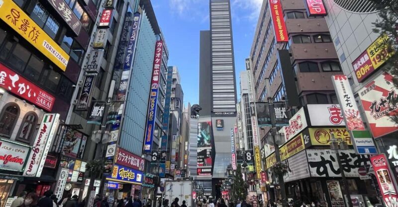 Walking Tour in Shinjuku & Kagurazaka: Tokyo's Hidden Gems - Transportation, Duration, and Practical Details