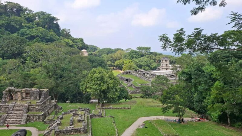 Walking tour in the archaeological site and jungle of Palenque - The Jungle Walk: Nature’s Hidden Treasure