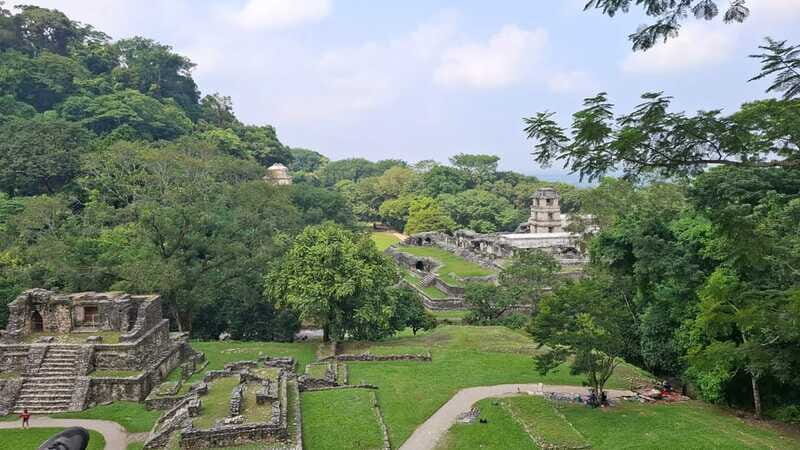 Walking tour in the archaeological site and jungle of Palenque - The Sum Up: Is This Tour Worth It?