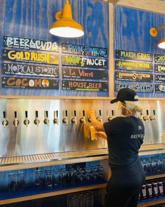 Walking Tour New Orleans Craft Breweries & Beer Flights - Who Will Love This Tour?