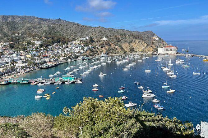 Walking Tour of California Adventure - An In-Depth Look at the Tour Experience