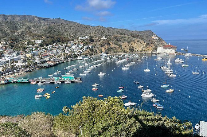 Walking Tour of California Adventure - Final Thoughts: Who Will Love This Tour?