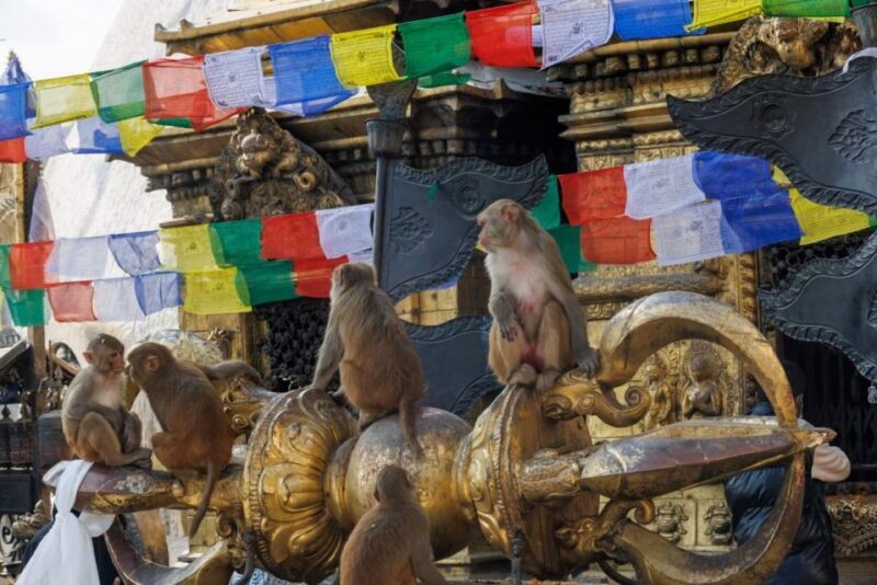 Walking Tour of Kathmandu (Half Day) - Introduction: Discover Kathmandu in Half a Day