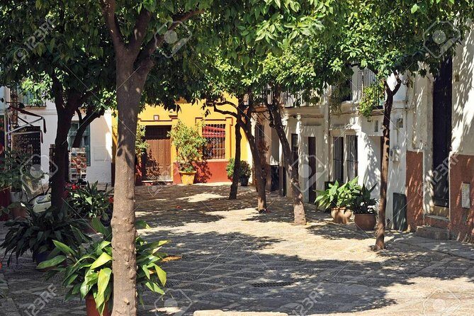 Walking tour through the old Jewish quarter of Santa Cruz. - A Detailed Look at the Tour Experience