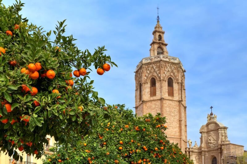 Walking Tour through Valencia's Historic Centre - Exploring Valencia’s Old Town: What Makes This Tour Special