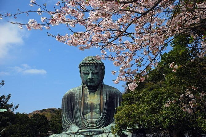 Walking Tour to Two Shrine and Temple in Kamakura - The Sum Up