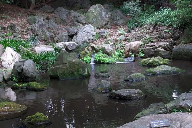 Walking tour, Tokyo Great Buddha, Botanical Garden, etc. - The Practical Aspects and What to Expect