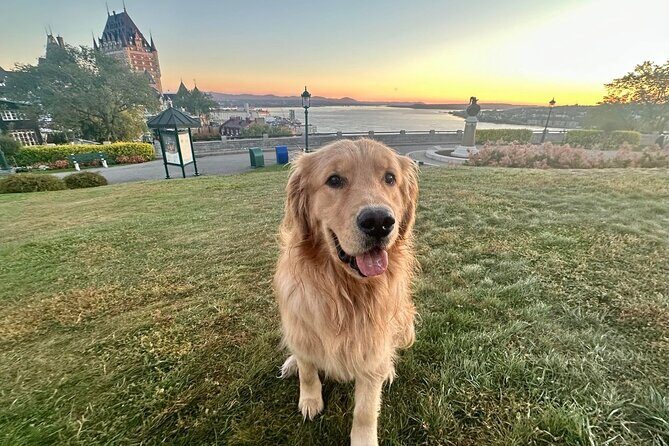 Walking tour with Guide Felix and his dog Meo - Key Points