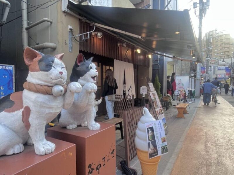 Walking Tour: Yanaka,Nezu& Sendagi: Tea Ceremony & Old Tokyo - Exploring Old Tokyo: A Walk Through Yanesen, Nezu, & Sendagi with Tea and Culture