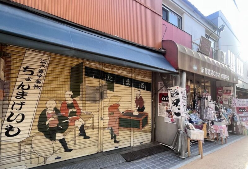 Walking Tour: Yanaka,Nezu& Sendagi: Tea Ceremony & Old Tokyo - Key Points