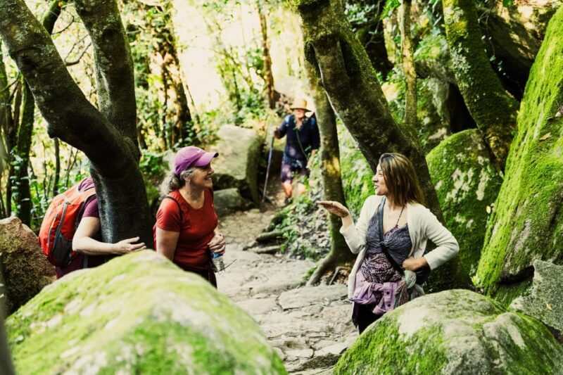 Walking tour:Pena Palace, Moorish Castle,Quinta da Regaleira - FAQ