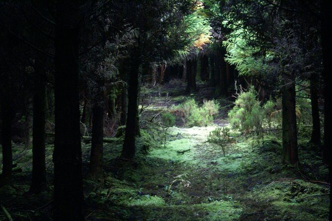 Walking Trails of Terceira - The Value of This Experience