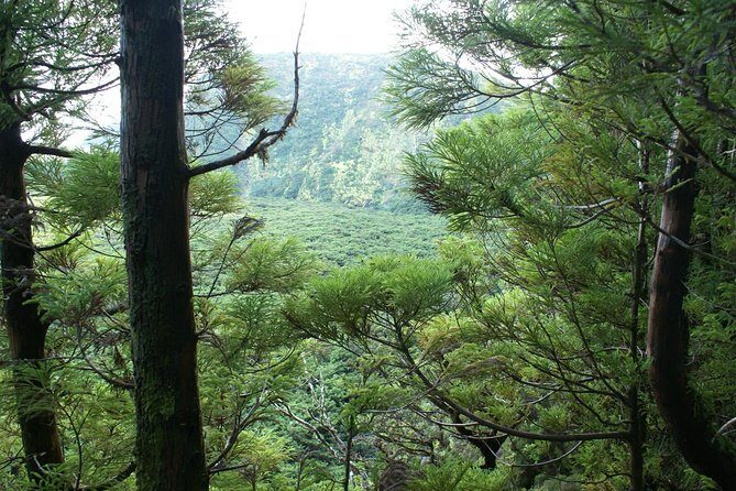 Walking Trails of Terceira - Who Should Consider This Tour?