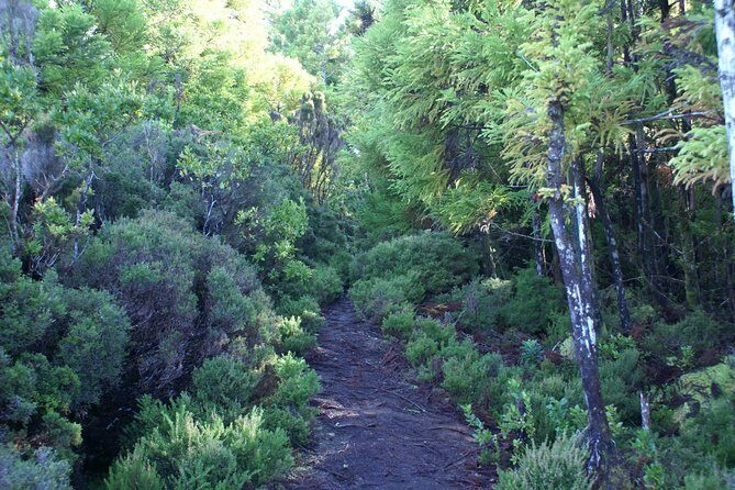 Walking Trails of Terceira - FAQs