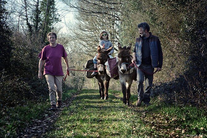 Walks and hikes with donkeys - FAQ