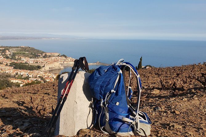 Walks in the heart of the secret vineyards around Collioure, tastings - An Honest Look at a Vineyard Walking Tour in Collioure