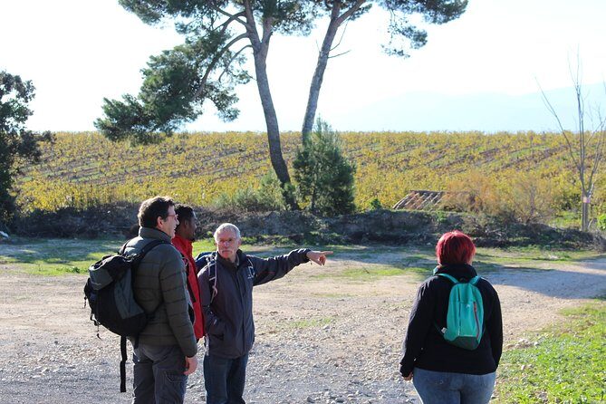 Walks in the heart of the secret vineyards around Collioure, tastings - Key Points