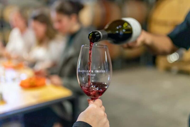 Wallabies and Wine  Hunter Valley Adventure Private Tour - Key Points