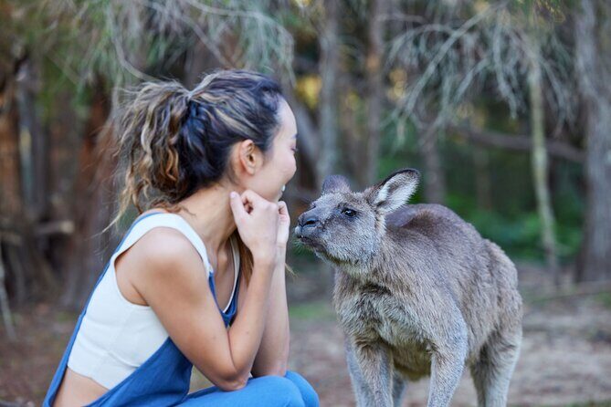 Wallabies and Wine Hunter Valley Adventure Private Tour - Key Points