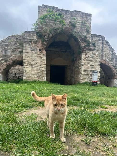 Walls of Contantinople and Byzantine Palace Tour - Price and Value Consideration