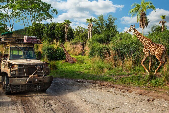 Walt Disney World Admission with Water Park and Sports Option - Practical Considerations