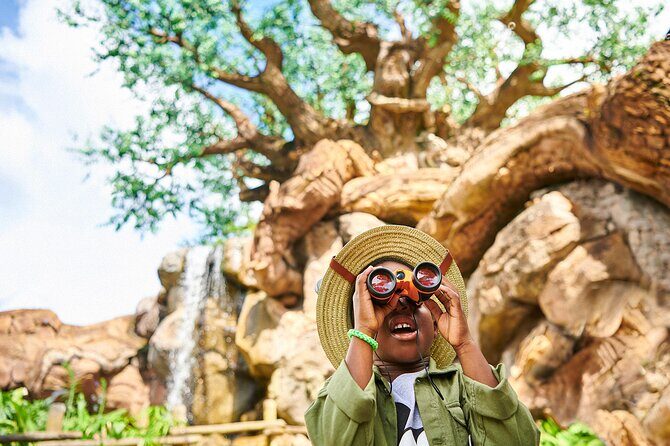 Walt Disney World Resort Base Ticket - FAQs About the Walt Disney World Resort Base Ticket