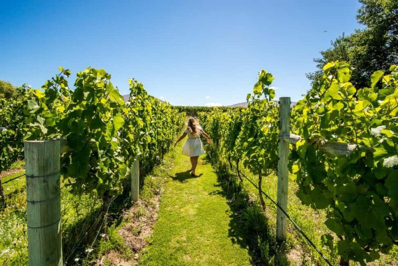 Wanaka: Afternoon Boutique Wine Tour - Scenic Route and Location Highlights