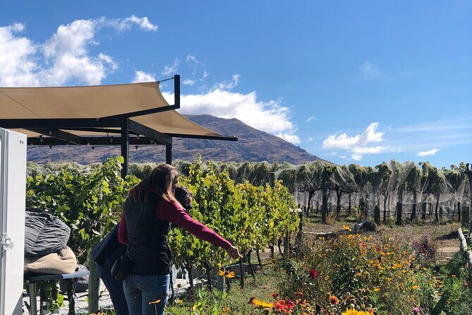 Wanaka Breweries E-Bike Tour - Practical Details and What to Expect