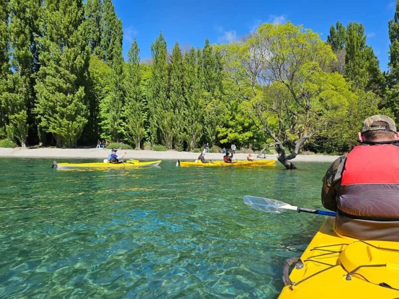 Wanaka: Lake Wanaka Guided Kayak Tour - The Experience’s Strengths and Considerations