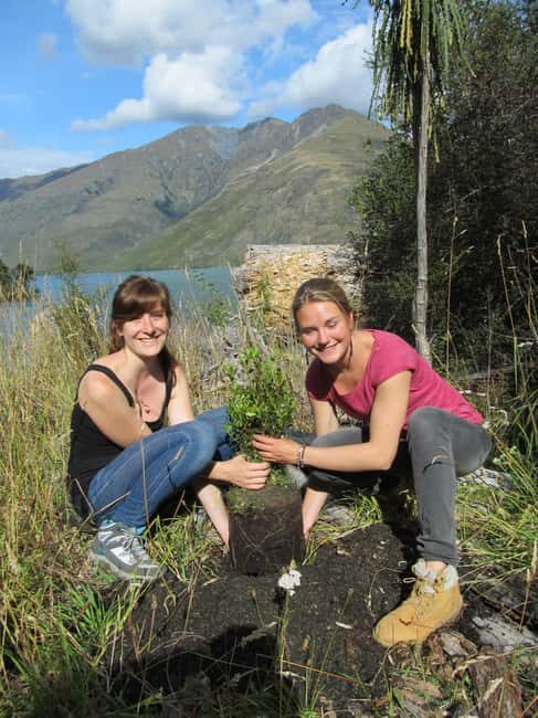 Wanaka: Mou Waho Island Boat Tour and Nature Walk - FAQs