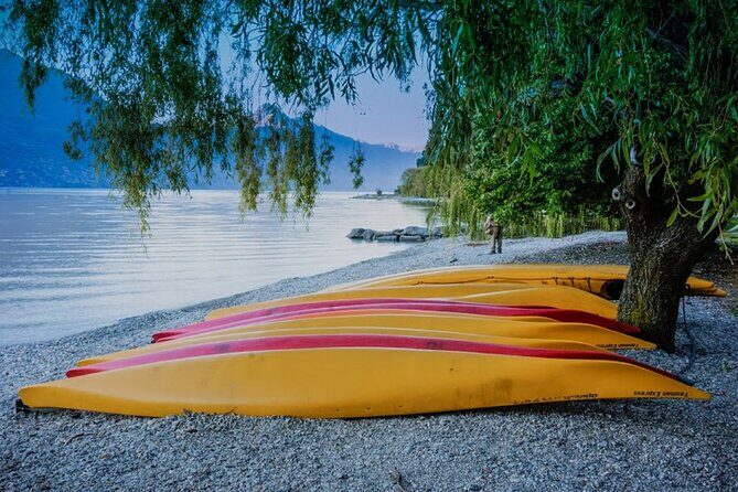 Wanaka to Queenstown One Way Small Group Tour - Detailed Review of the Wanaka to Queenstown Tour