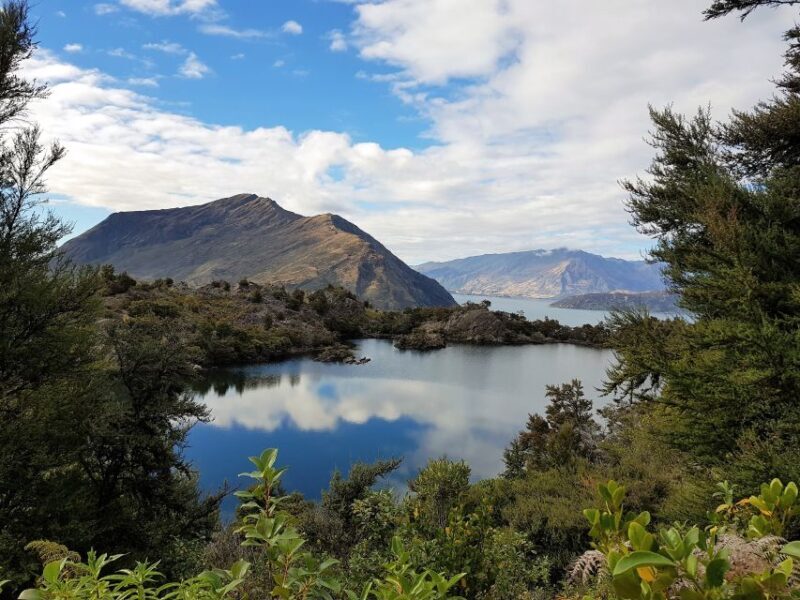 Wanaka: Water Taxi & Mou Waho Island Tour - Reaching Tyrwhitt Peak & the Panoramas
